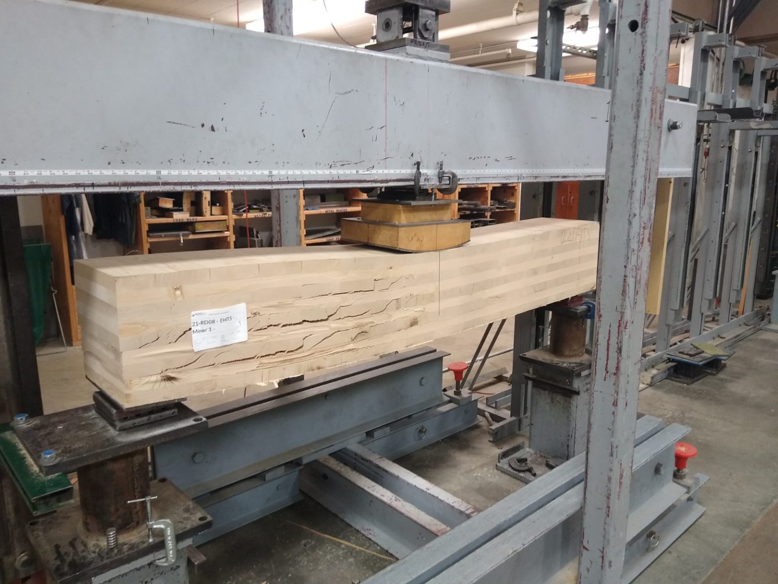 Local Species Cross-Laminated Timber Nearly Commercial in the Northeast ...