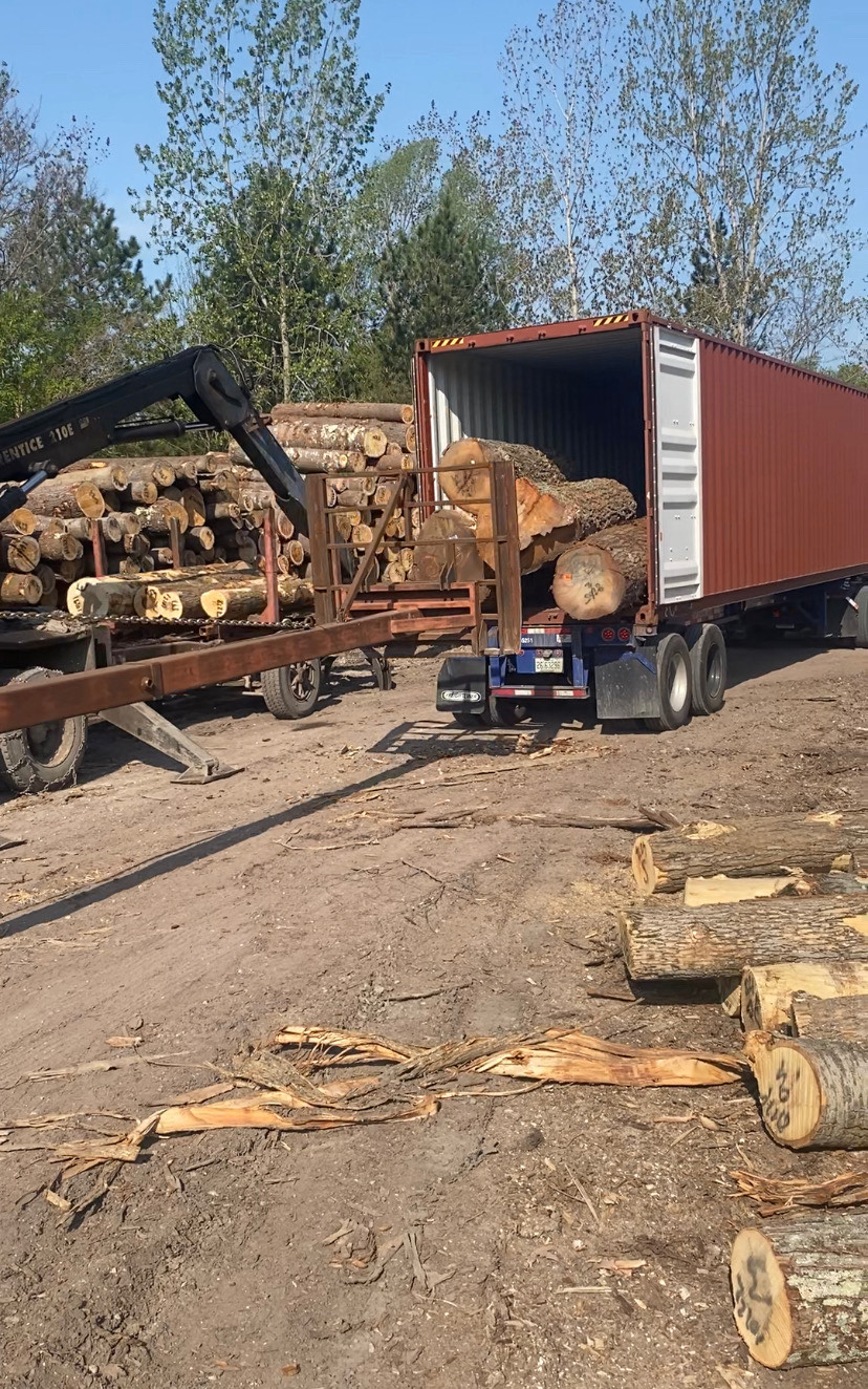 Canopy Timber Alternatives Finds Opportunity in Global Economy ...