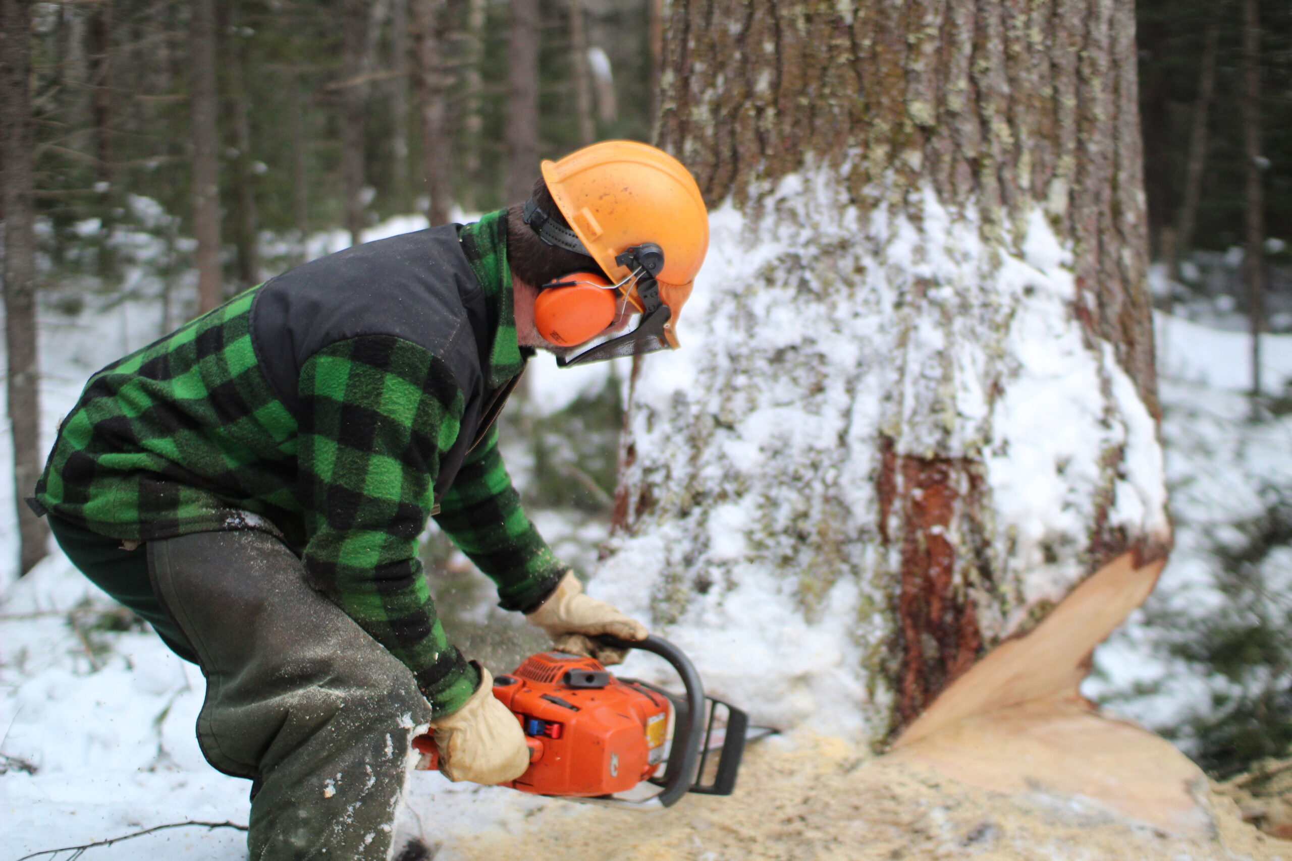 Free Publications - Northeastern Loggers Association