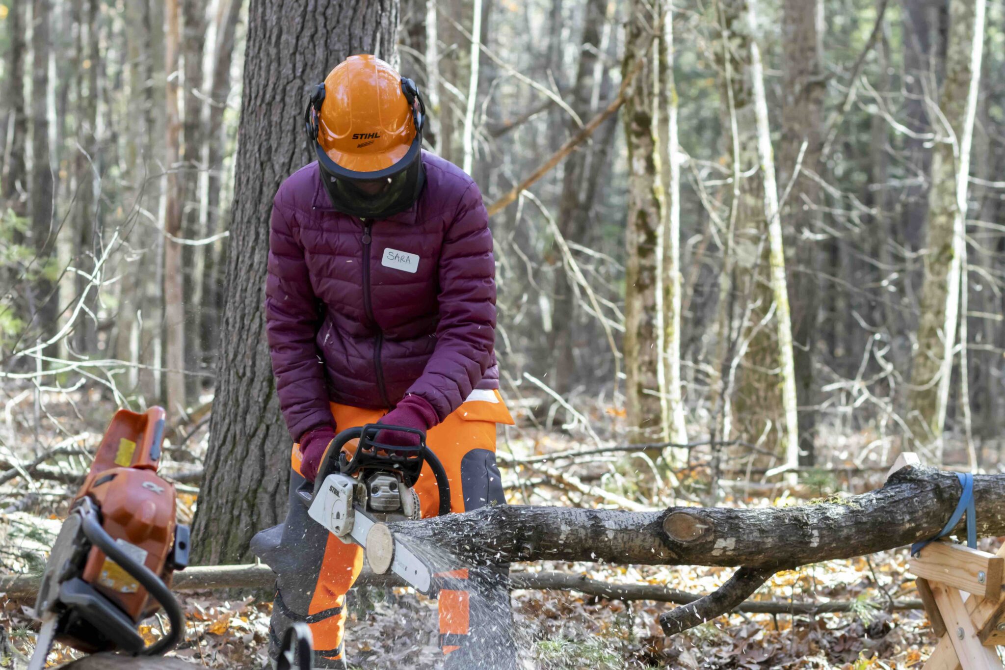 Women Supporting Women in a Male-Dominated Industry – Northeastern ...